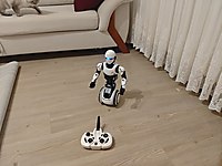 Oyuncak Robot Modelleri & Fiyatları sahibinden.com'da!