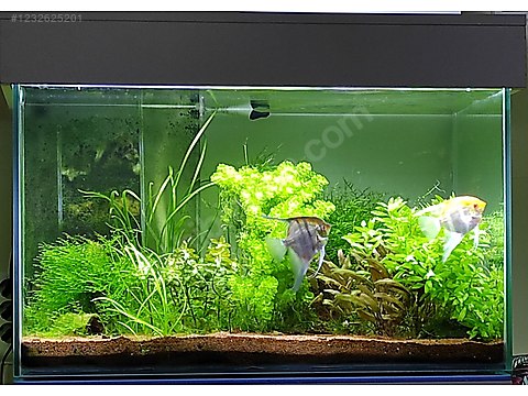 80x50x50 İç Sump Demir Sehpa sahibinden.comda - 1232625201