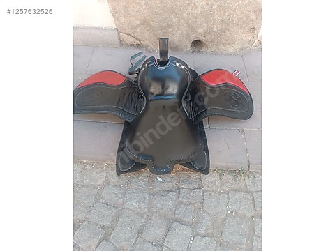 ANKARA AT EYERİ DERİ sahibinden.comda - 1257632526