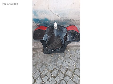AT EYERİ ANKARA sahibinden.comda - 1257633458