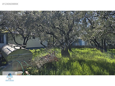 ERDEK NARLI MAHALLESİNDE YATIRIMLIK ARSA - Satılık Arsa İlanları ...