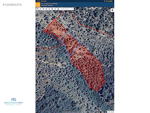 MİLASIN EN ÇOK TERCİH EDİLEN METMEŞ MAH. FIRSAT 1331m2 ZEYTİNLİK ...