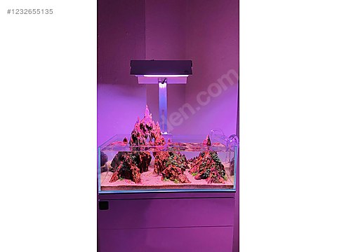 Week Aqua z200 Pro Rgb-Uv Armatür sahibinden.comda - 1232655135
