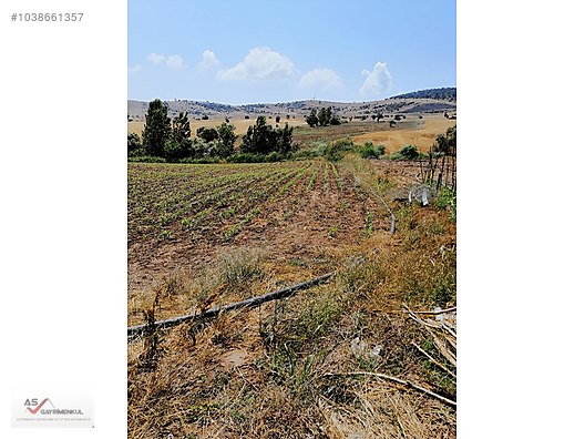 BALIKESİR ORTACA'DA ASFALT YOLA CEPHE 16.180 M2 SATILIK TARLA - Satılık ...