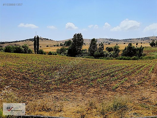 BALIKESİR ORTACA'DA ASFALT YOLA CEPHE 16.180 M2 SATILIK TARLA - Satılık ...