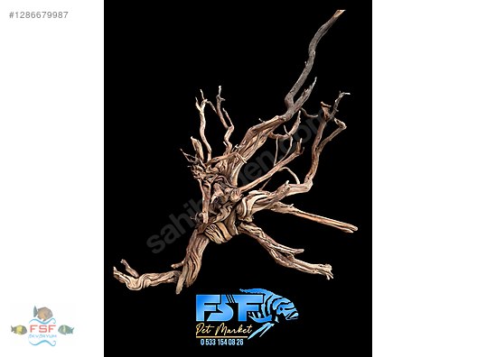 FLAME WOOD - YATİ KÖKÜ - MANGROW - TREE ROOT - STUMP WOOD KÖKLER ...