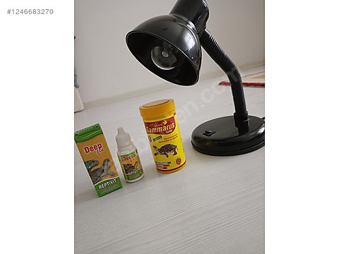 Yem / Kaplumbağa yemi, reptivit ve lambası sahibinden.comda - 1246683270