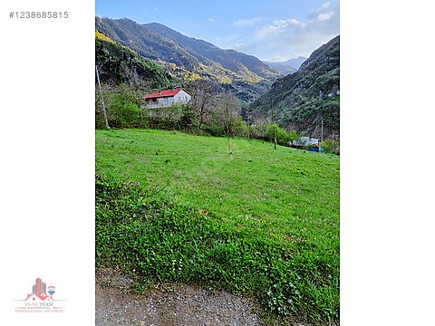 TRABZON MAÇKA KİREMİTLİ DE KÖYİÇİ % 40 İMARLI ARSA - Satılık Arsa ...