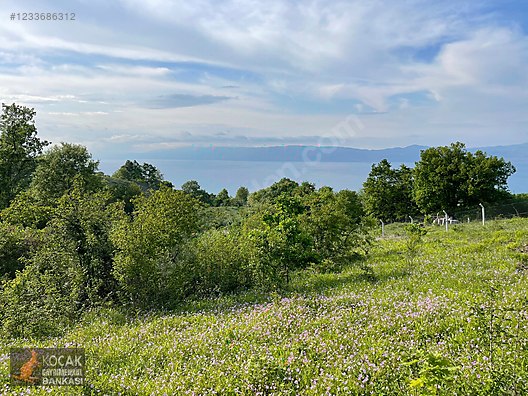 MUHTEŞEM DOĞA VE GÖL MANZARASIYLA GÖLLÜCE KÖYÜNDE 3981M2 ARAZİ - Satılık Arsa İlanları ...