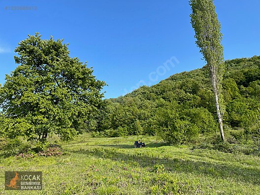 MUHTEŞEM DOĞA VE GÖL MANZARASIYLA GÖLLÜCE KÖYÜNDE 3981M2 ARAZİ - Satılık Arsa İlanları ...