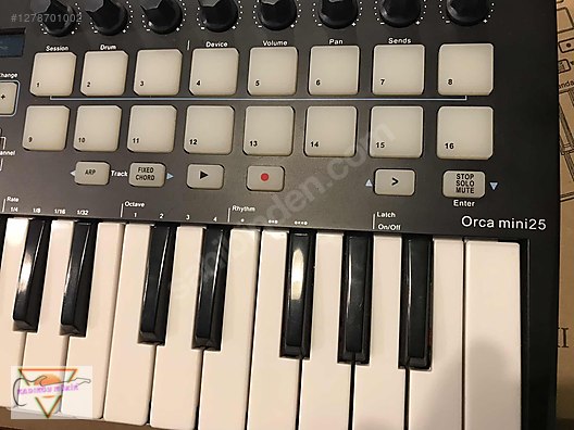 WORLDE ORCA MINI25 Midi Klavye - MIDI Klavye ve Diğer Tuşlu Çalgılar ...