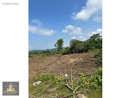 PUSULA'DAN ŞİLE SORTULU'DA 1.667 m2 0.35 VİLLA İMARLI İFRAZLI - Satılık Arsa İlanları sahibinden ...