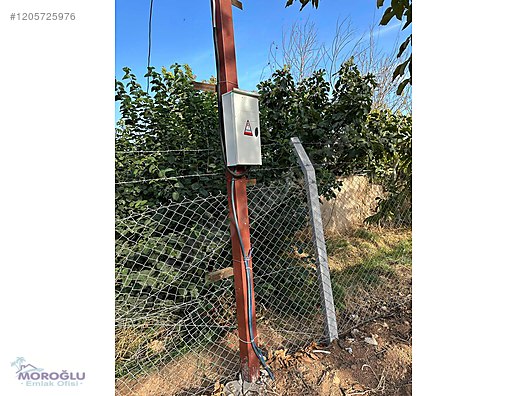 SEKİLİ'DE ETRAFI ÇEVRİLİ SATILIK HURMA VE ZEYTİN BAHÇESİ - Satılık Arsa ...