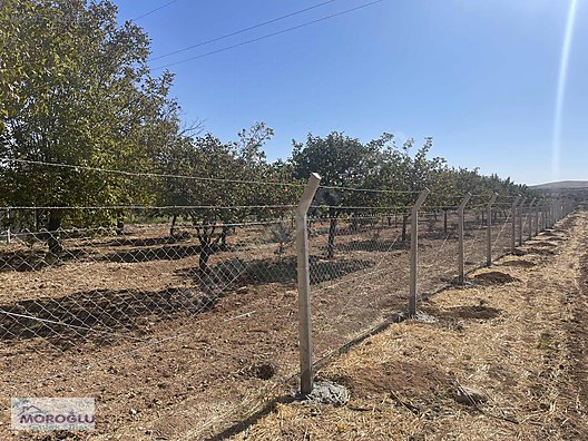 SEKİLİ'DE ETRAFI ÇEVRİLİ SATILIK HURMA VE ZEYTİN BAHÇESİ - Satılık Arsa ...