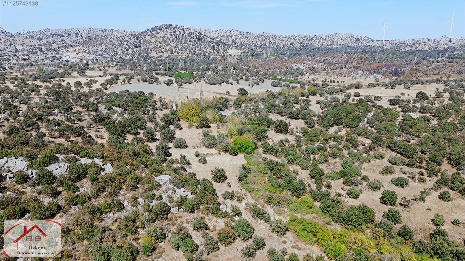 ÇANAKKALE EZİNE KAYACIK KÖYÜNDE YATIRIMLIK KUPON TARLA 13.000 M2 ...