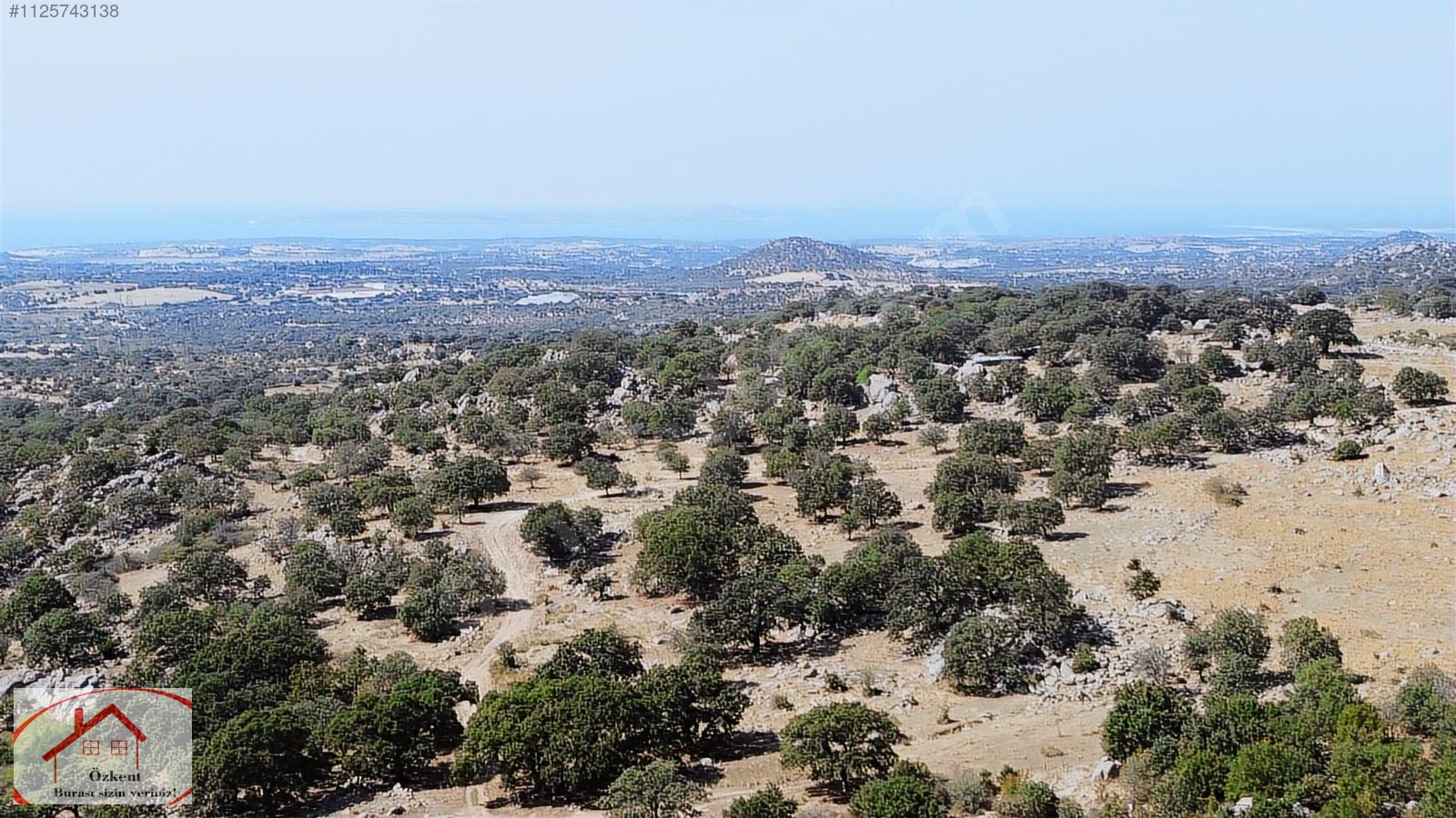 ÇANAKKALE EZİNE KAYACIK KÖYÜNDE YATIRIMLIK KUPON TARLA 13.000 M2 ...