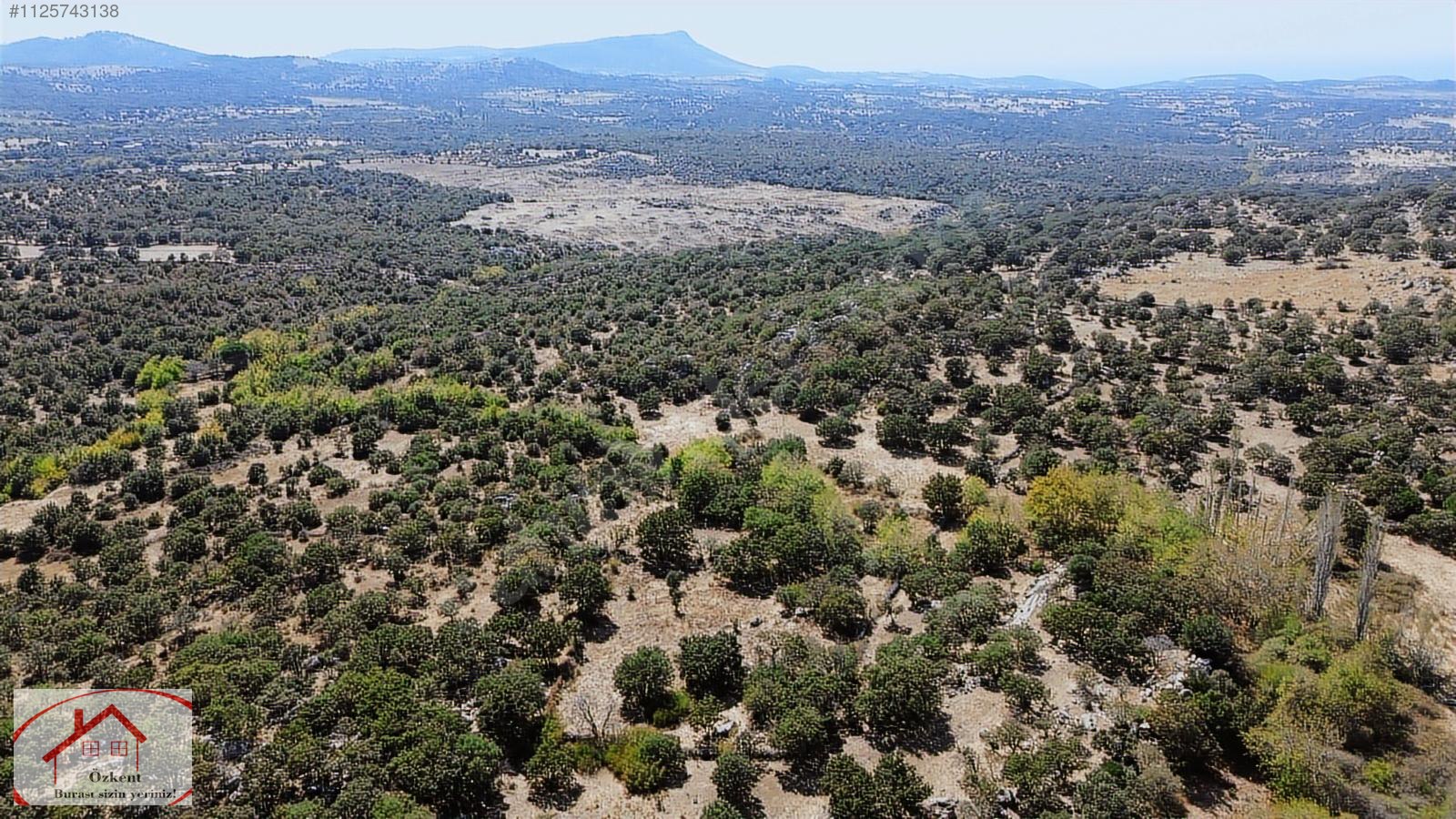 ÇANAKKALE EZİNE KAYACIK KÖYÜNDE YATIRIMLIK KUPON TARLA 13.000 M2 ...