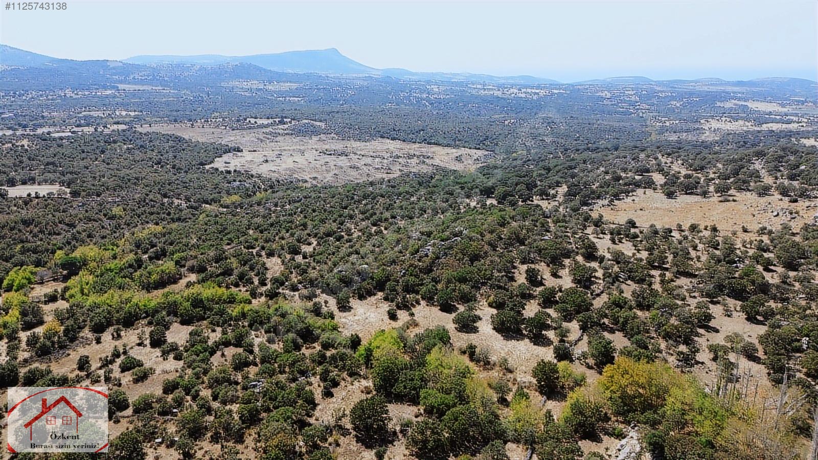 ÇANAKKALE EZİNE KAYACIK KÖYÜNDE YATIRIMLIK KUPON TARLA 13.000 M2 ...