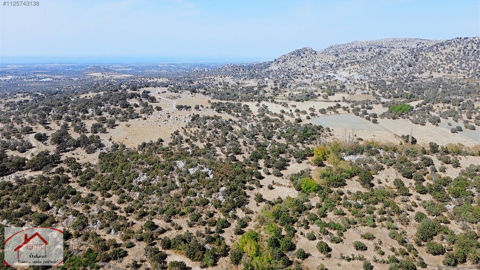 ÇANAKKALE EZİNE KAYACIK KÖYÜNDE YATIRIMLIK KUPON TARLA 13.000 M2 ...