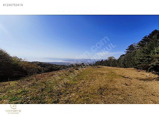 İZNİK ŞEREFİYE'DE MUHTEŞEM MANZARASIYLA EMSALSİZ SATILIK ARAZİ!! - Satılık Arsa İlanları ...