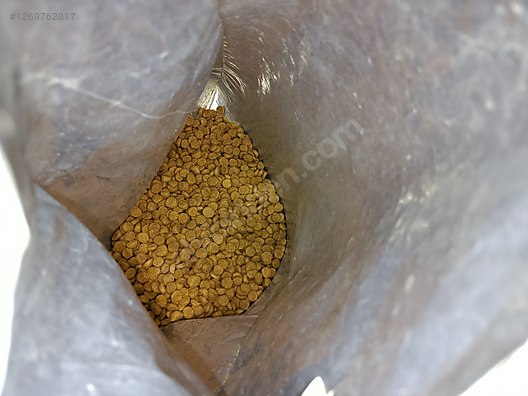 DEV BOY KÖPEK KULUBESİ . 10MT ZİNCİR . TASMA . 3 YEMEK KABI . sahibinden.comda - 1269762017