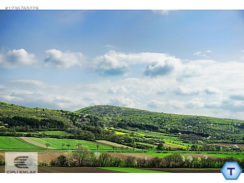 SATILIK TARLA RESMİ YOL CEPHELİ MERKEZE YAKIN KUPON TARLA - Satılık ...