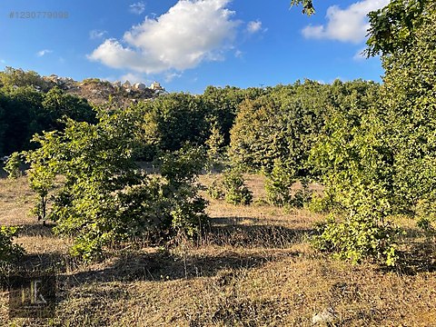 HAKAN GİRGİN'DEN NİLÜFER KORUBAŞI'DA SATILIK 500M² ARAZİ! - Satılık Arsa İlanları sahibinden.com ...