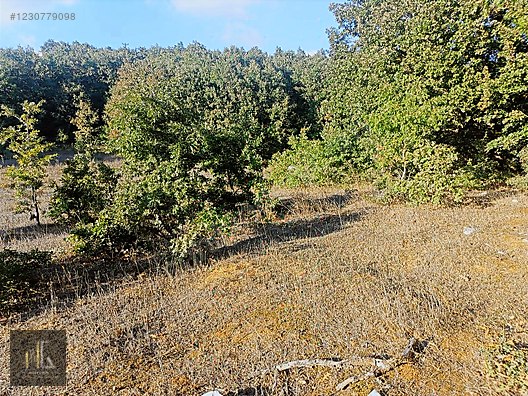 HAKAN GİRGİN'DEN NİLÜFER KORUBAŞI'DA SATILIK 500M² ARAZİ! - Satılık Arsa İlanları sahibinden.com ...