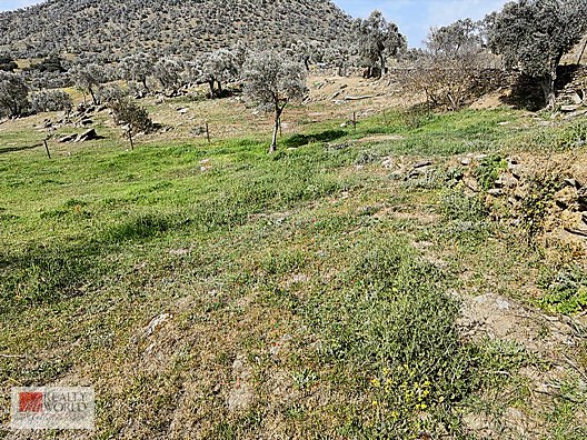 REALTY WORLD ALYANS'TAN GÜNEY ÇÖRTLEN'DE SATILIK MÜSTAKİL EV - Satılık ...