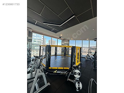 MMA KAFESİ - Satılık Box Ringi sahibinden.comda - 1230801733