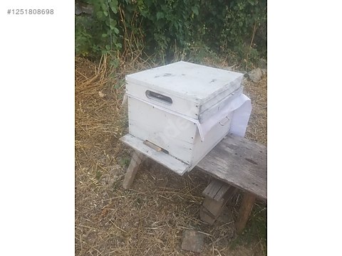 Arı / acilen satılık ARI kovan sahibinden.comda - 1251808698