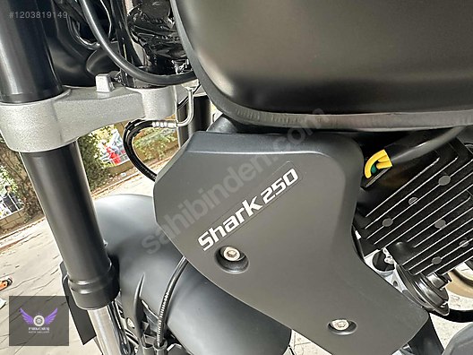 Regal Raptor Shark 250 2024 Model Chopper / Cruiser Motor Motosiklet ...