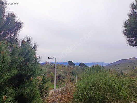 EDREMİT, DERELİ KÖYÜ, KÖY İMARLI, YOL KENARI FULL MANZARALI ARSA - Satılık Arsa İlanları ...