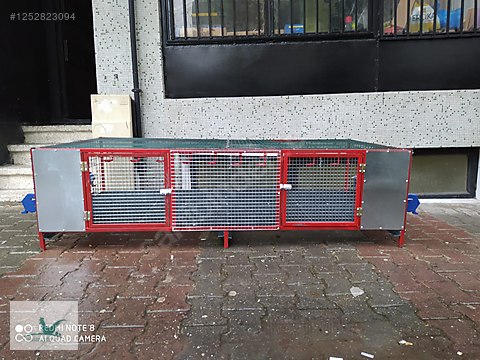 Tavuk Kafesi Tek Katlı sahibinden.comda - 1252823094
