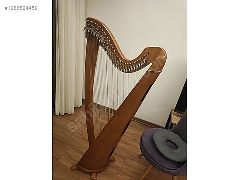 Camac harp korrigan - Kanun ve Diğer Telli Çalgılar sahibinden.com'da ...