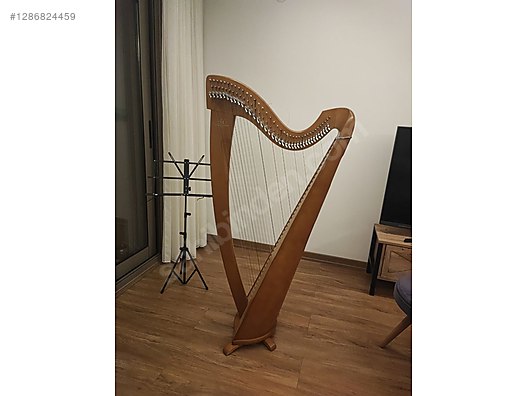 Camac harp korrigan - Kanun ve Diğer Telli Çalgılar sahibinden.com'da ...