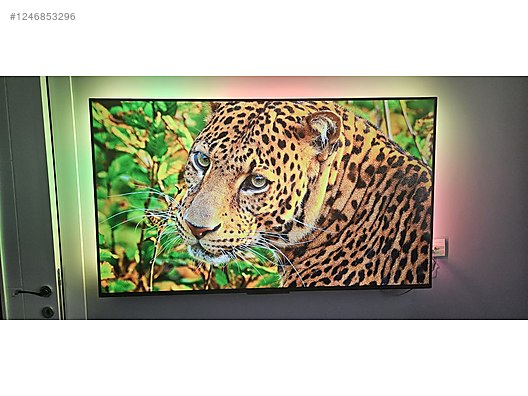 Dev ekrak 4K 165 ekran - İkinci El Philips LED & LCD TV İlanları ...