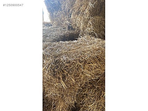 Yem / Saman ve Ot Balyası Karışık sahibinden.comda - 1250900547