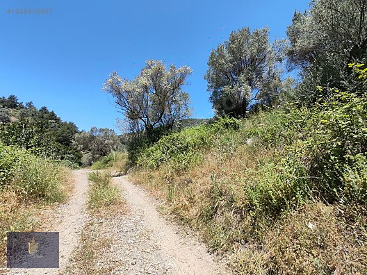 Ulufer'den Güzelbahçe'de Dere Kenarında Satılık Avantajlı Arazi ...