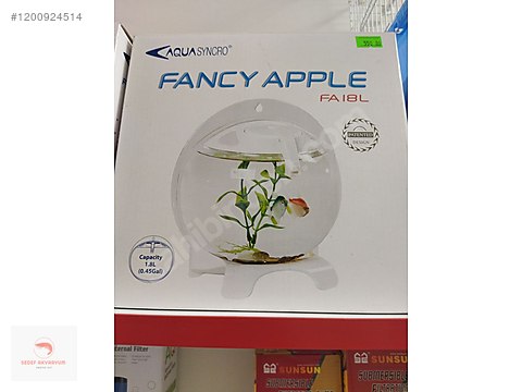 ÖZEL TASARIM FANUS - MASA & DUVAR İÇİN - SEDEF AKVARYUM DA sahibinden ...