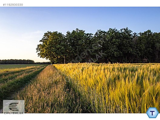 SATILIK TARLA ETRAFI ÇEVRİLİ RESMİ YOL CEPHELİ KUPON ARAZİ - Satılık ...