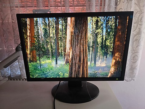 Philips 22 inç Geniş Ekran LCD Monitör 220WS8 sahibinden.comda - 1260941805