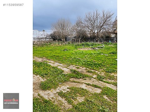 GÜZELOLUK'TA DEVREN KİRALIK KIR BAHÇESİ - Devren Kiralık Kır & Kahvaltı ...
