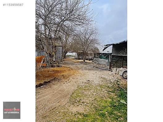 GÜZELOLUK'TA DEVREN KİRALIK KIR BAHÇESİ - Devren Kiralık Kır & Kahvaltı ...