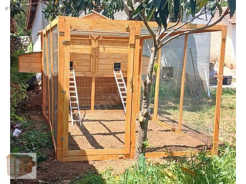 tavuk kafesi sahibinden.comda - 1249963064