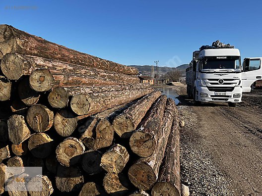 Tomruk - Orman Ürünleri - 1162965730