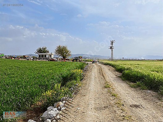 HAS EMLAK'DAN DEREKÖY'DE SATILIK 21 DÖNÜM ARAZİ VE EV - Satılık Arsa ...