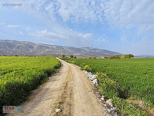 HAS EMLAK'DAN DEREKÖY'DE SATILIK 21 DÖNÜM ARAZİ VE EV - Satılık Arsa ...