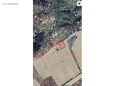 AFYONKARAHİSAR DAZKIRI AŞAĞIYENİCE DE SATILIK 3.285 m2 TARLA - Satılık ...