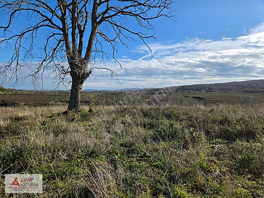 PINARLI'DA FULL DENİZ VE DOĞA MANZARALI ZİRVE KONUMDA 14502 M2 ...